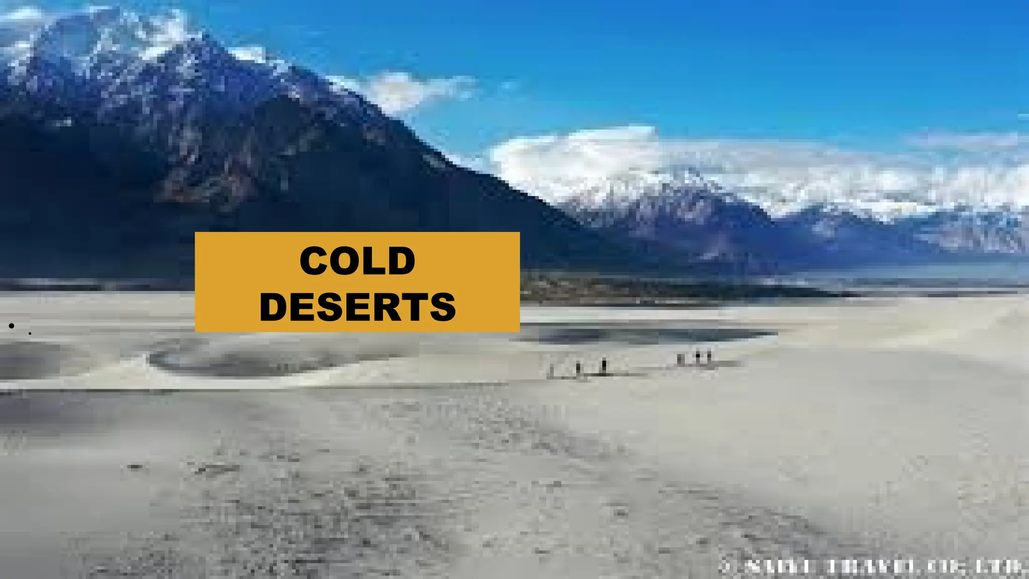 Desert ecosystem it's types , importance and adaptation of flora and ...