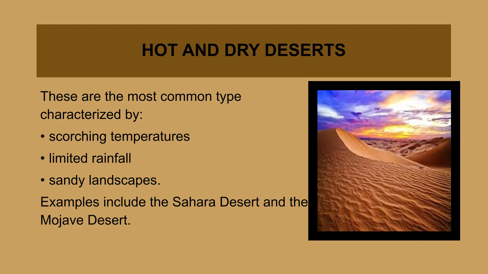 Desert ecosystem it's types , importance and adaptation of flora and ...