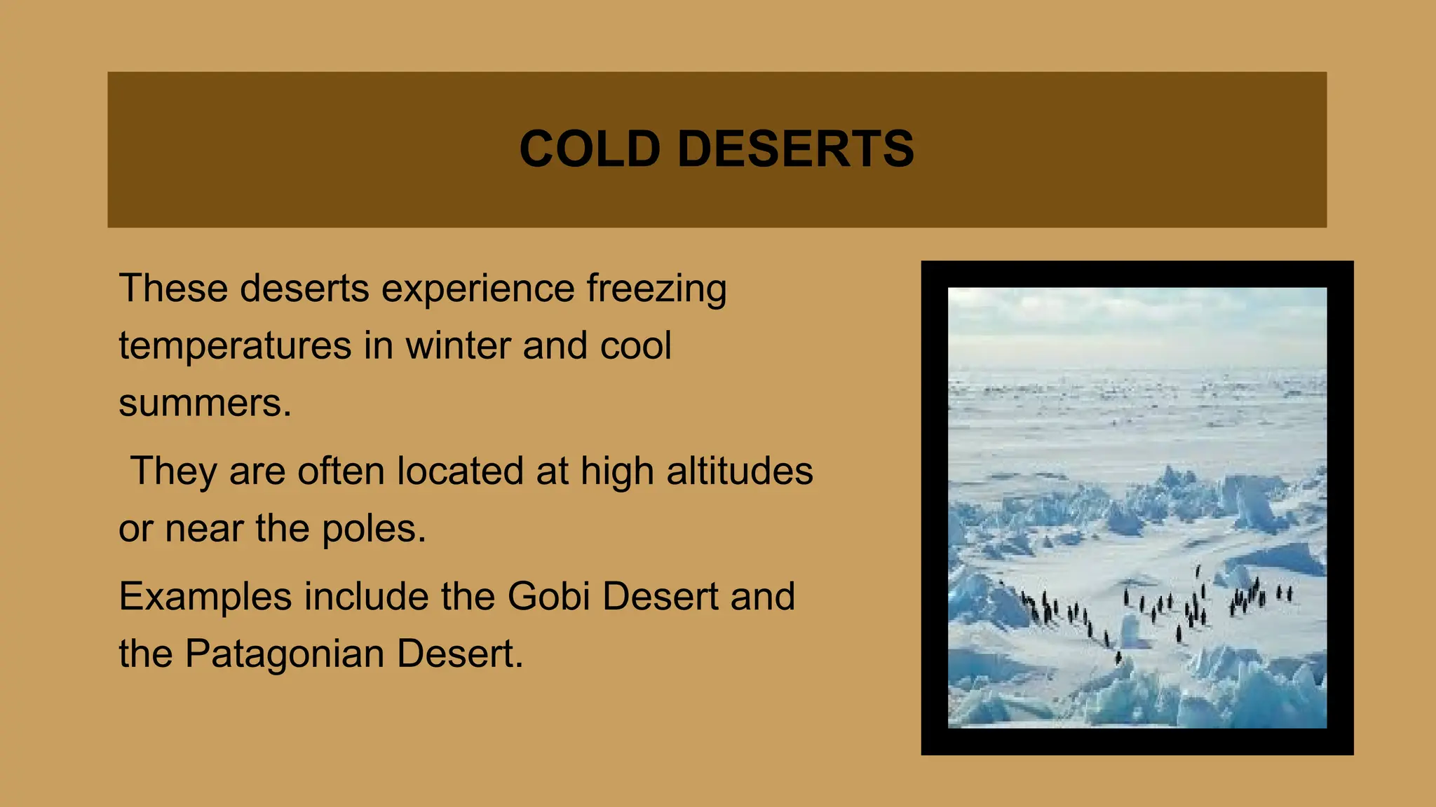 Desert ecosystem it's types , importance and adaptation of flora and ...