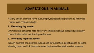 Desert ecosystem it's types , importance and adaptation of flora and ...