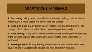 Desert ecosystem it's types , importance and adaptation of flora and ...