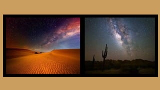 Desert ecosystem it's types , importance and adaptation of flora and ...