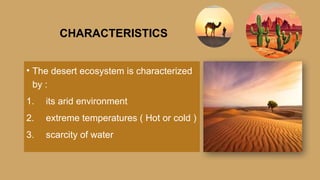 Desert ecosystem it's types , importance and adaptation of flora and ...