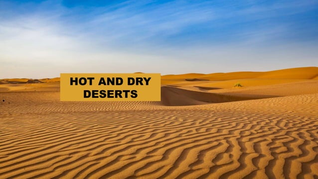 Desert ecosystem it's types , importance and adaptation of flora and ...