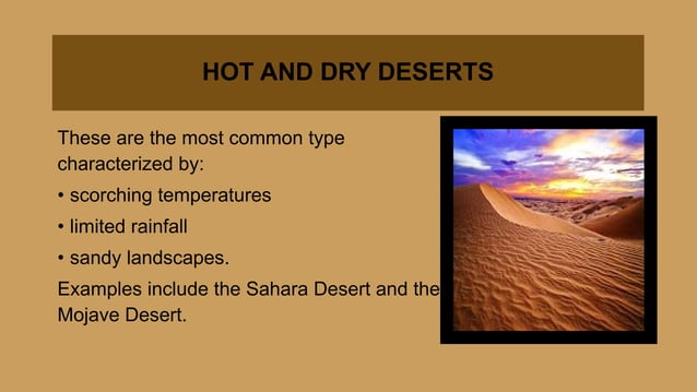 Desert ecosystem it's types , importance and adaptation of flora and ...