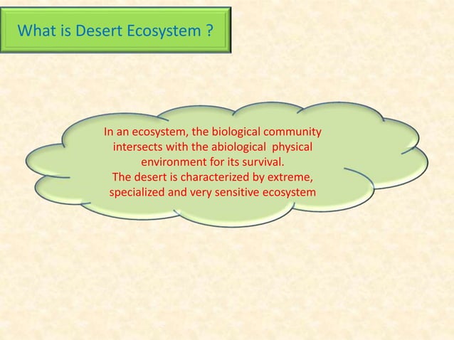 DESERT ECOSYSTEM (2113).pptx