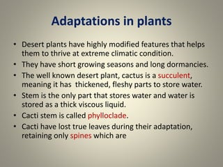 Desert system of forestaion | PDF