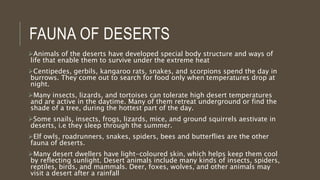 Desert ecosystem by manshi | PPTX