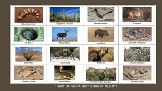 Desert ecosystem by manshi | PPT