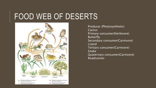Desert ecosystem by manshi | PPTX