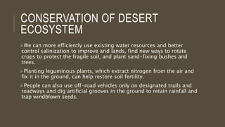 Desert ecosystem by manshi | PPTX