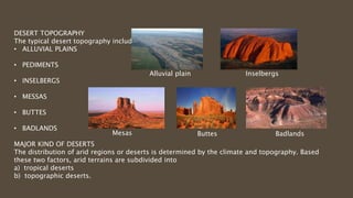 Desert ecosystem by manshi | PPTX