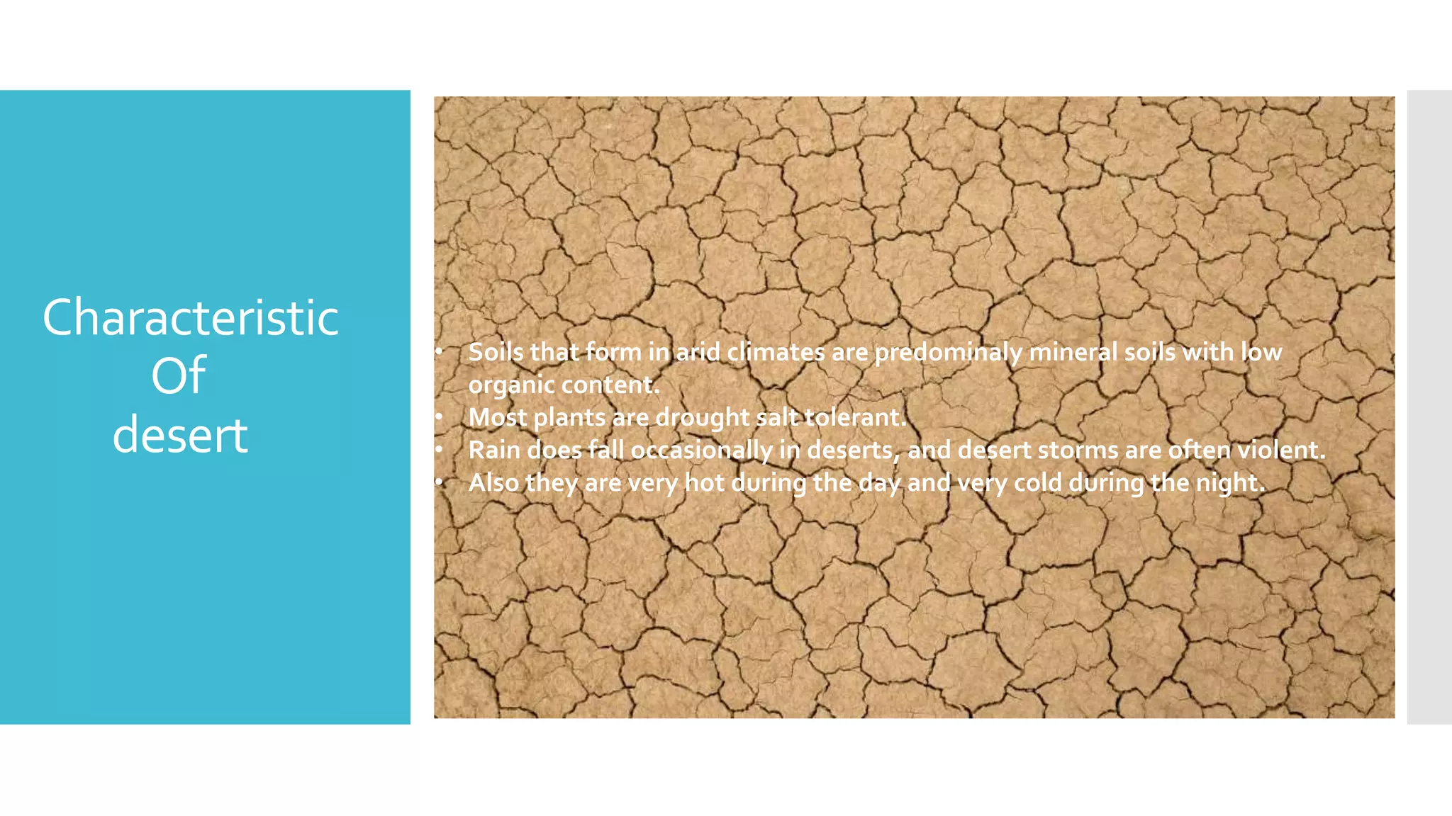 DESERT ECOSYSTEM BY SAHIL AHMED.pptx