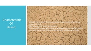 DESERT ECOSYSTEM BY SAHIL AHMED.pptx