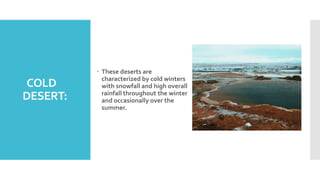 DESERT ECOSYSTEM BY SAHIL AHMED.pptx