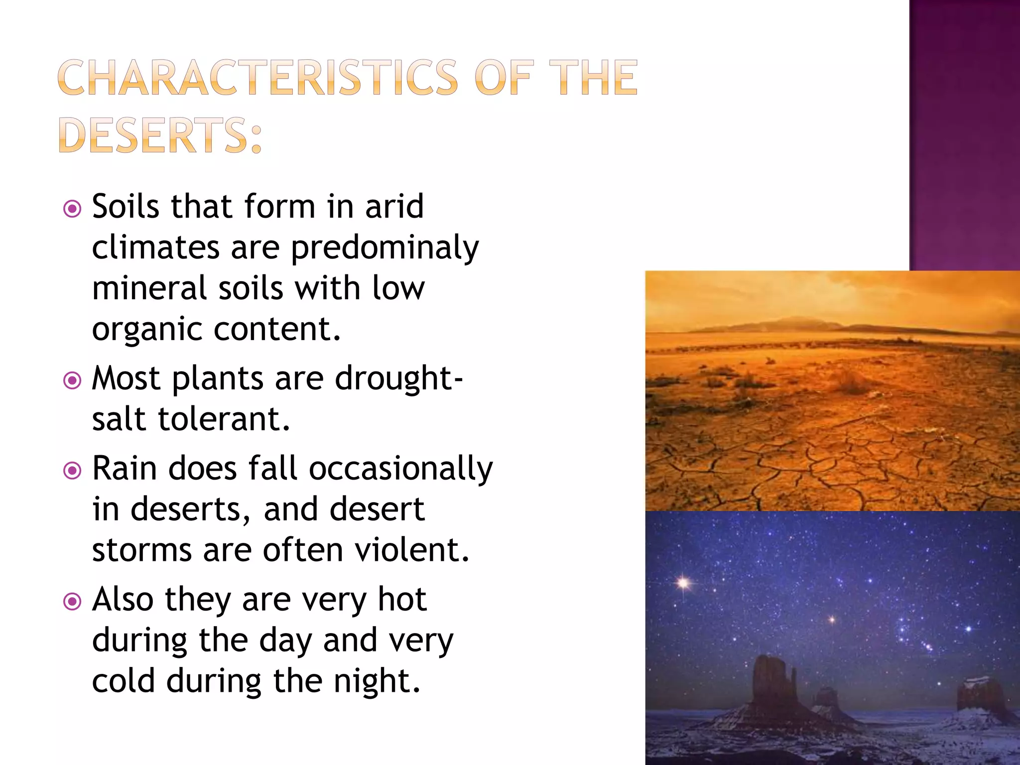 Desert ecosystem ecology | PPTX