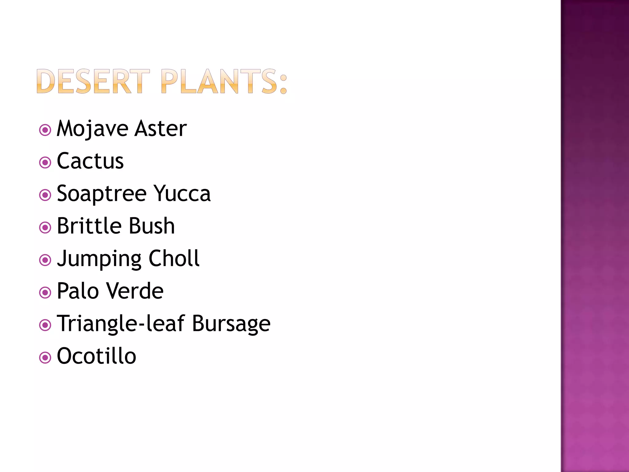 Desert ecosystem ecology | PPTX