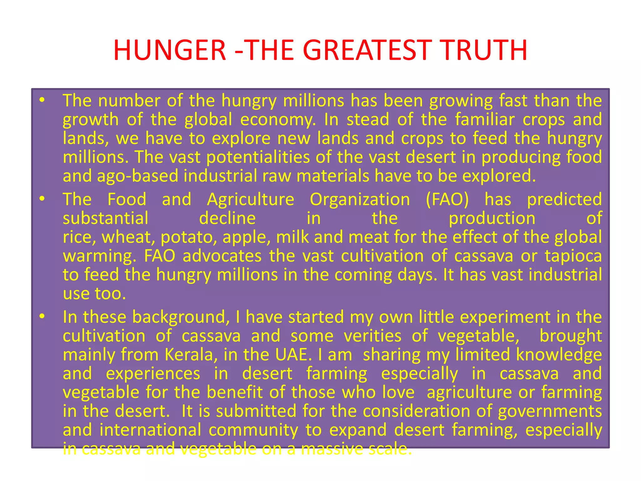 AL AIN EXPERIMENT IN DESERT FARMING : TAPIOCA OR CASSAVA AND VEGITABLE ...