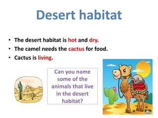 Desert habitat | PPTX