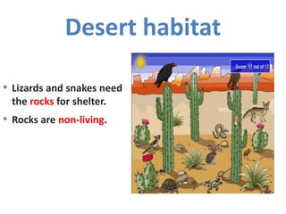 Desert habitat | PPTX