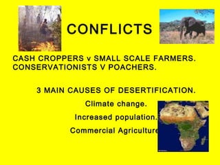 Desertification | PPT