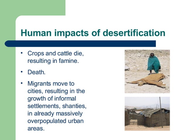 Desertification | PPT | Agriculture | Industries