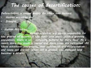 Desertification | PPTX