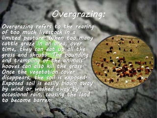 Desertification | PPTX