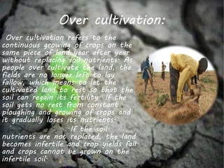 Desertification | PPTX