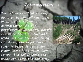 Desertification | PPTX