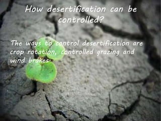 Desertification | PPTX