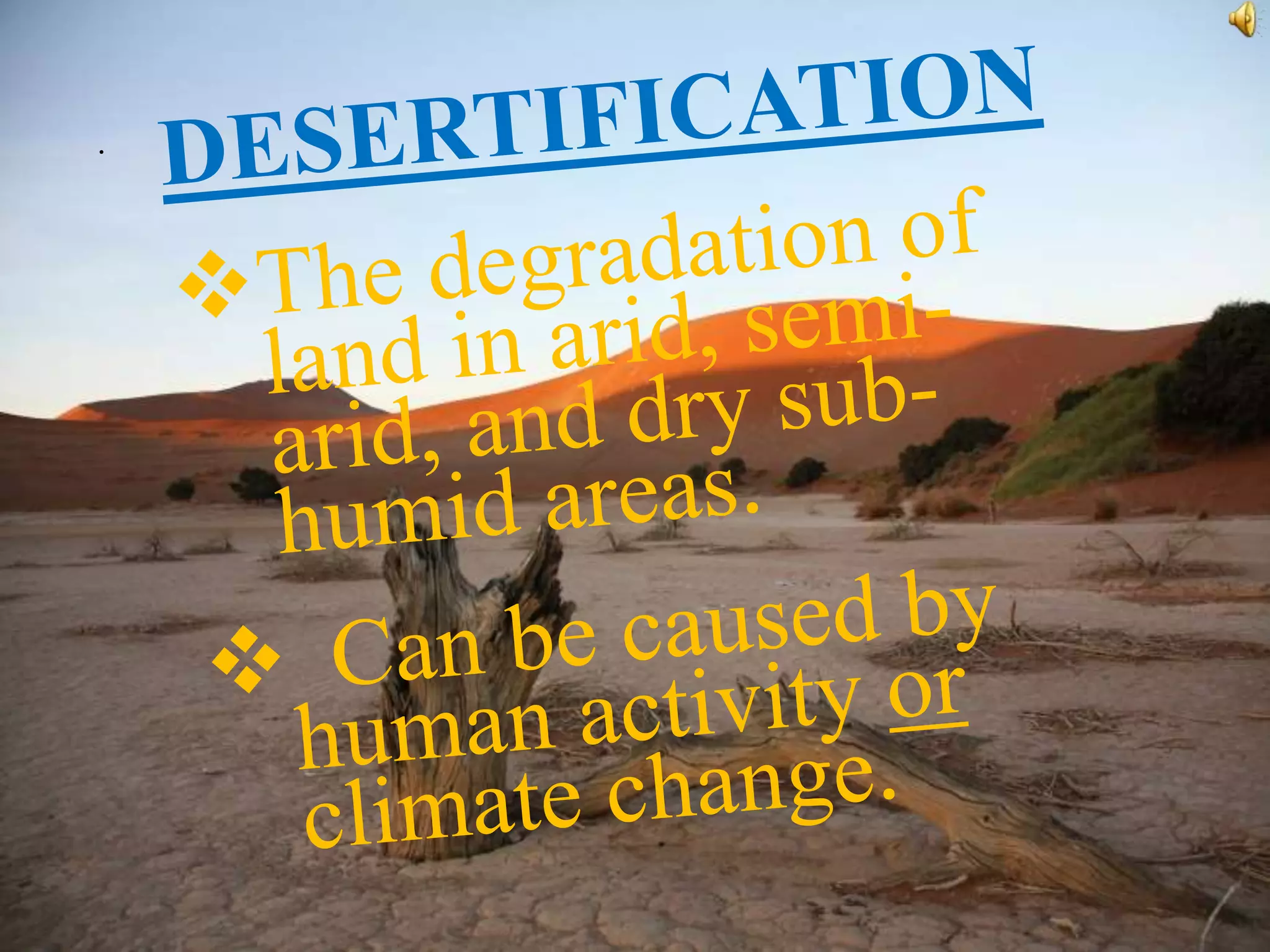 Desertification and drought | PPTX