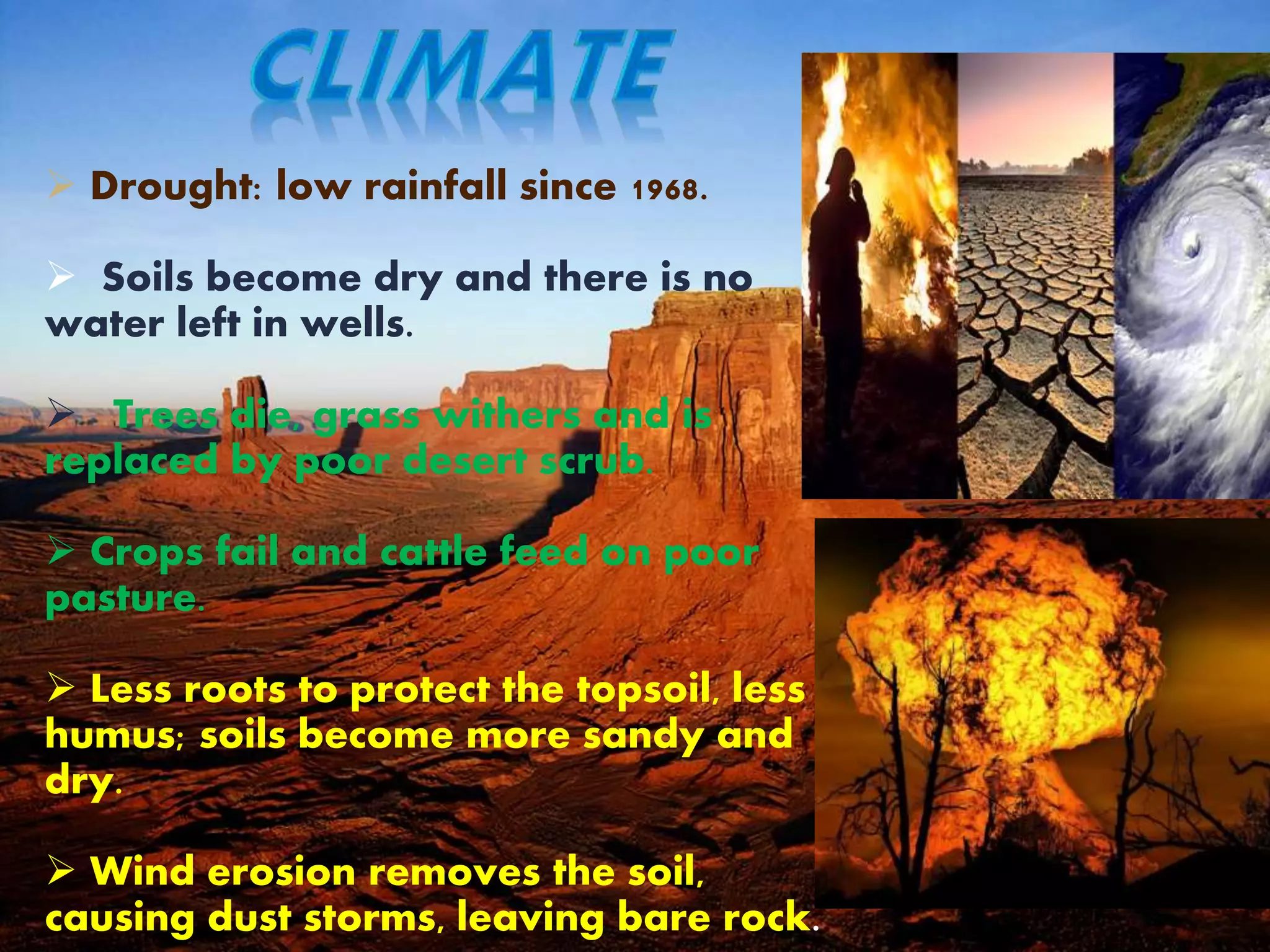 Desertification and drought | PPTX