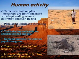 Desertification and drought | PPTX
