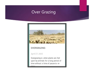 Desertification - Biodiversity & its Conservation | PPTX