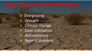 DESERTIFICATION_ SlideShare | PPTX
