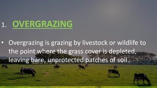 DESERTIFICATION_ SlideShare | PPTX