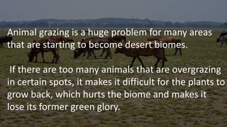 DESERTIFICATION_ SlideShare | PPTX