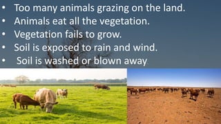 DESERTIFICATION_ SlideShare | PPTX