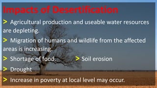 DESERTIFICATION_ SlideShare | PPTX