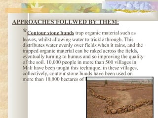 Desertification 2 | PPTX