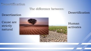 Desertification | PPT