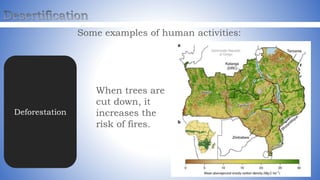 Desertification | PPT