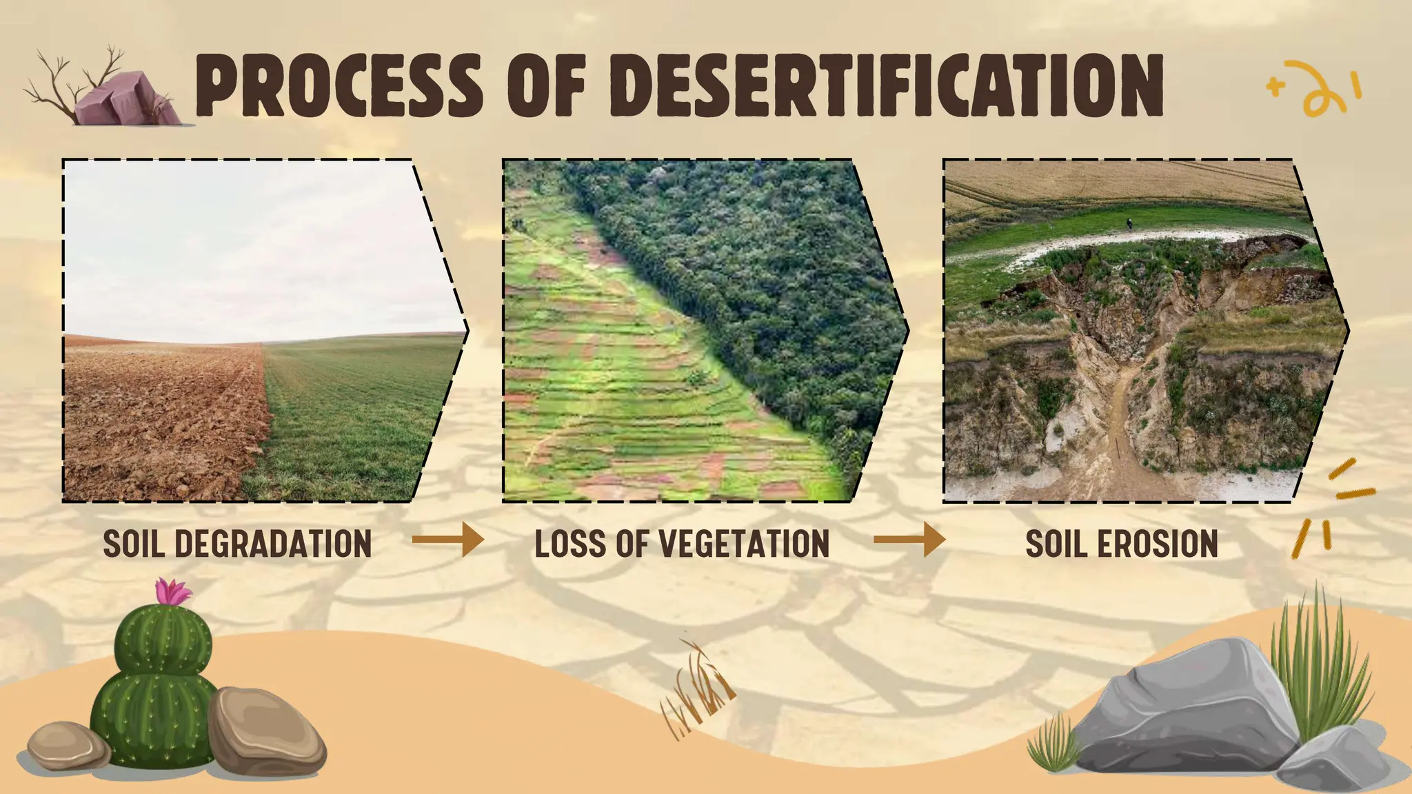 PPTX. ENVIRONMENTAL ISSUE DESERTIFICATION | PPTX