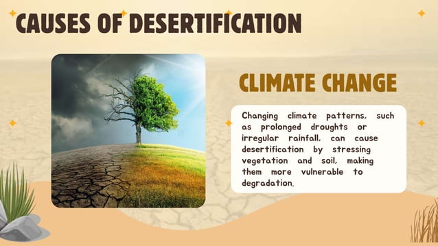 PPTX. ENVIRONMENTAL ISSUE DESERTIFICATION | PPTX