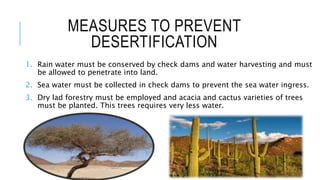 Desertification | PPTX