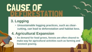 Desertification-Deforestation-1 presentation | PPTX