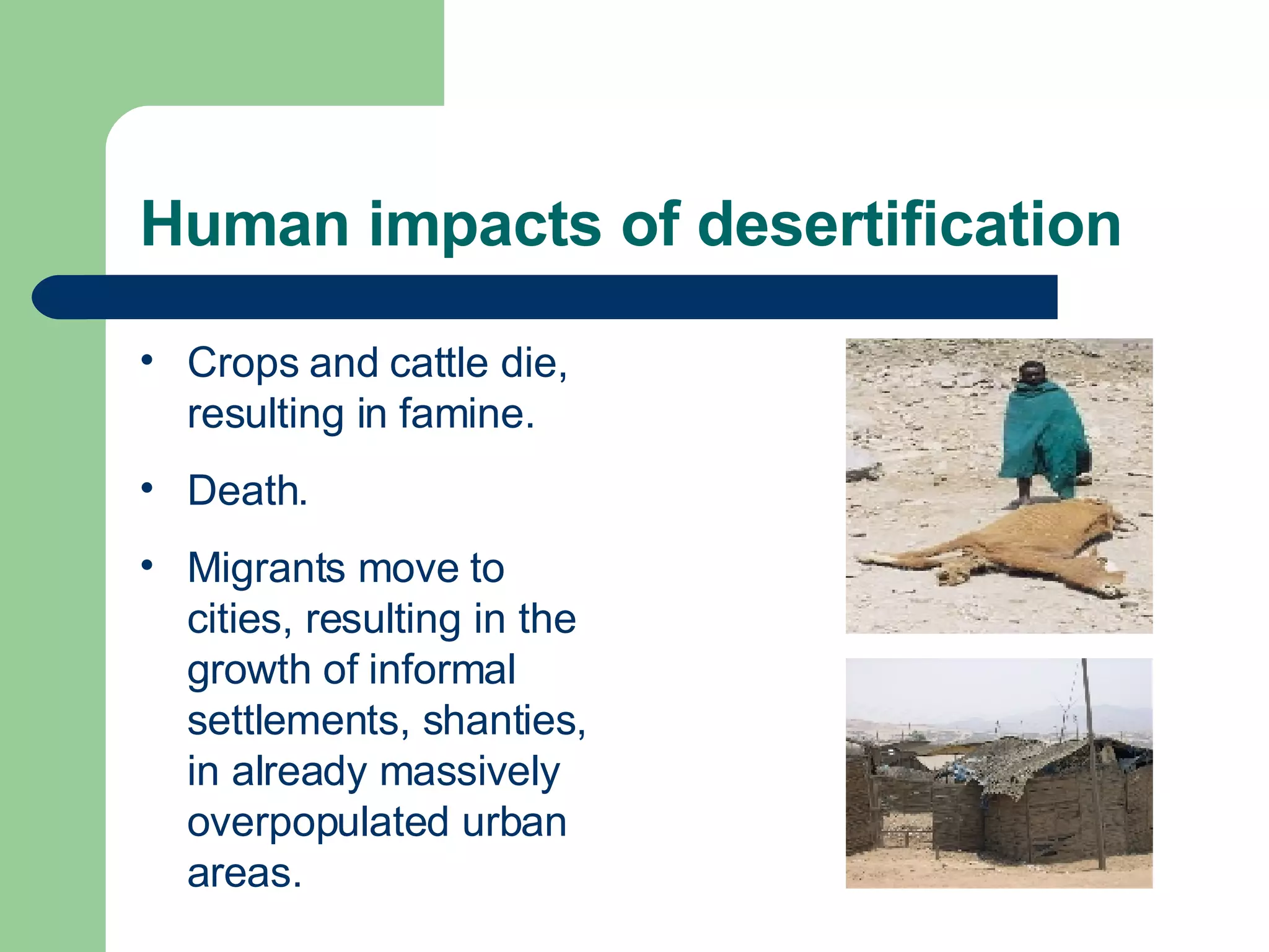 Desertification | PPT