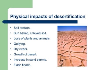 Desertification | PPT