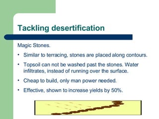 Desertification | PPT